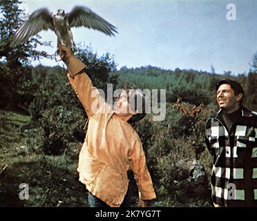 MY SIDE OF THE MOUNTAIN, Ted Eccles, 1969 Stock Photo - Alamy
