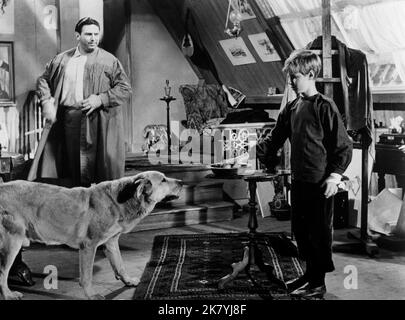 David Ladd Film A Dog Of Flanders (1960) Characters: Nello Daas ...