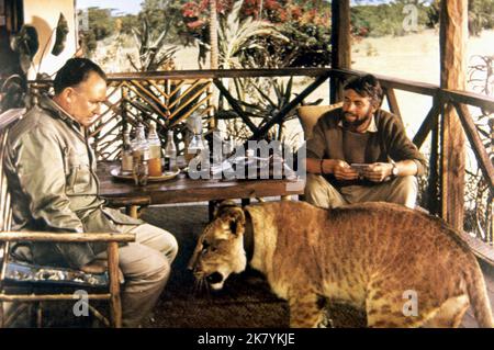 ELSA, BORN FREE, 1966 Stock Photo - Alamy