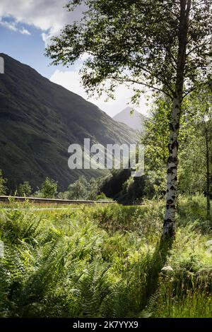 A87 road at Eas-Nan-Arm Bridge in the Scottish Highlands Stock Photo ...