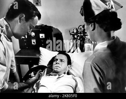 THE SEARCH FOR BRIDEY MURPHY, Kenneth Tobey, Teresa Wright, 1956 Stock ...