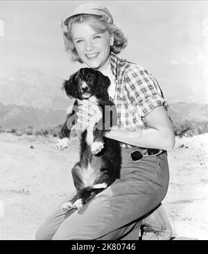 BAD DAY AT BLACK ROCK, from left: Spencer Tracy, Ernest Borgnine ...