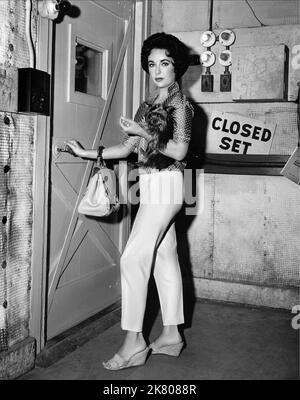 Elizabeth Taylor in "Cat on a Hot Tin Roof" publicity photo (MGM, 1958 ...