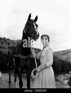 THE HANGING TREE 1959 Warner Bros film with Maria Schell Stock Photo ...