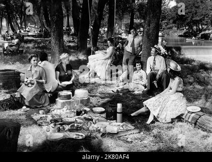 PICNIC 1955 Columbia film with William Holden and Kim Novak Stock Photo ...