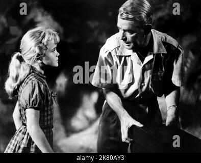 THE MAN IN THE NET, Barbara Beaird, Alan Ladd, 1959 Stock Photo - Alamy