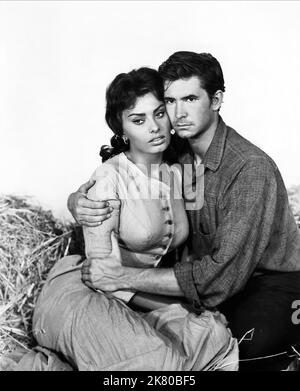 DESIRE UNDER THE ELMS (1958) ANTHONY PERKINS; SOPHIA LOREN; DELBERT MANN (DIR); DUES 003 ...