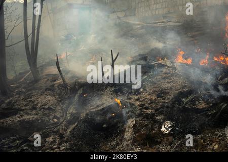 Burning of garbage. Set fire to illegal landfill. Flames and smoke ...