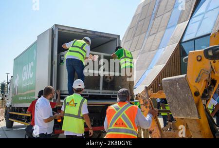 Doha, Qatar. 19th Oct, 2022. A giant panda is seen at the Panda House ...