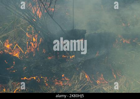 Fire in street. Smoke and fire. Landfill is burning. Environmental ...