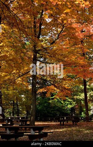 Autumn, Vincent Massey Park, Ottawa Stock Photo - Alamy