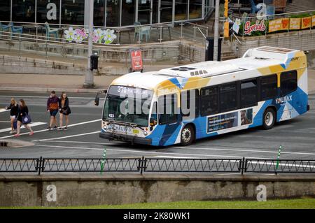Halifax Transit bus (Nova Bus LFS) operating on route 61 on Wyse Road ...