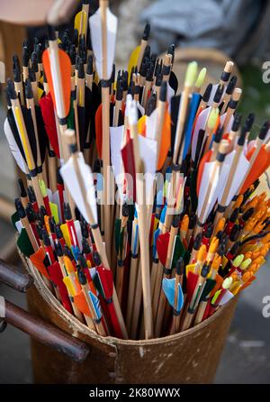Feather fletching of traditional target arrow american indians ...