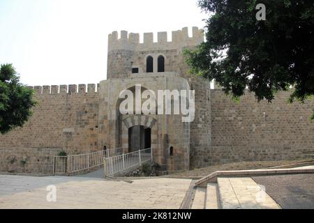 Payas Castle was built by the Genoese during the Crusades. The Knights ...