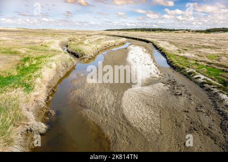 Tide pool in the salt marshes between the sandbanks and dunes in front ...