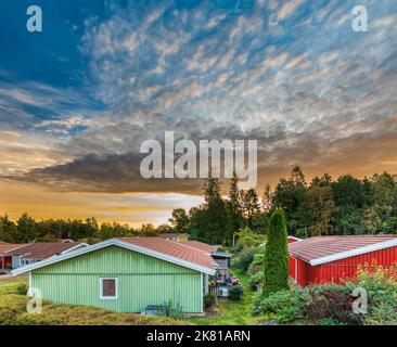 Typical traditional Swedish semi-detached yellow painted wooden houses ...