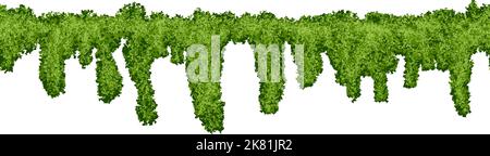 Horizontal seamless swamp moss texture on white background Stock Vector ...