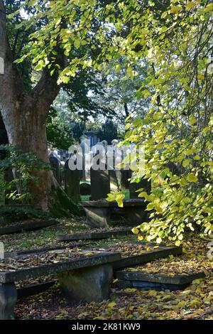 Autumn colours, in sunshine, Haworth Parsonage Museum and graveyard ...