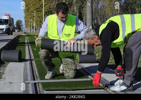 Decorative artificial grass is installed on the tram line, in Osijek ...