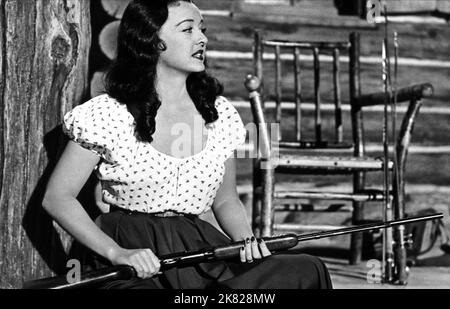 BEYOND THE FOREST 1949 Warner film with Bette Davis and Joseph Cotten ...
