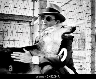 Richard Dix Film Blind Alibi (1938) Characters: Paul Dover Director: Lew Landers 20 May 1938 ...