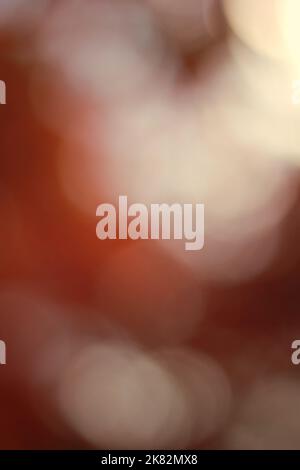 Beautiful abstract bokeh shimmering thru the leafy trees full of bright ...