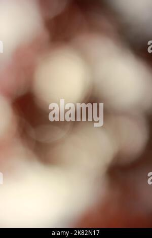 Beautiful abstract bokeh shimmering thru the leafy trees full of bright ...