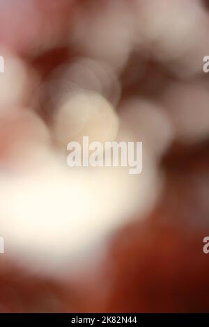 Beautiful abstract bokeh shimmering thru the leafy trees full of bright ...