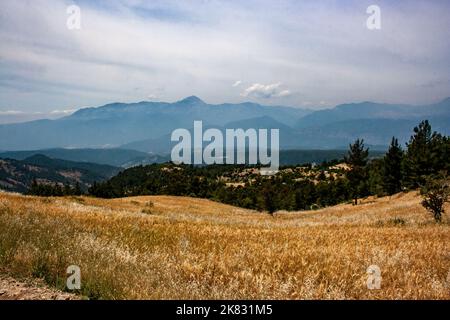 Wheat field in Taurus Mountains,Turkey Stock Photo - Alamy