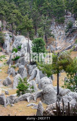Sedimentary rocks, Taurus Mountains, Köprülü Canyon National Park ...