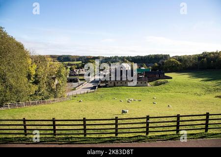 A view of a 1900s themed Pit Village at the Beamish Living Museum ...