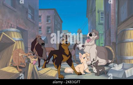 Scratchy, Ruby, Angel, Buster, Francois, Mooch & Scamp Film: Lady And ...