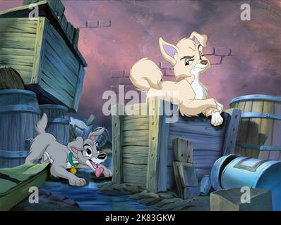 THE LADY AND THE TRAMP WALT DISNEY PICTURES Date: 1955 Stock Photo - Alamy