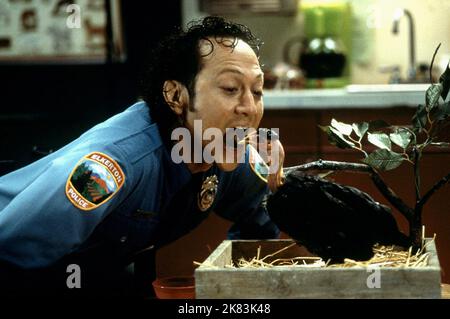 THE ANIMAL, Rob Schneider, 2001, © Columbia Pictures/ Courtesy: Everett ...
