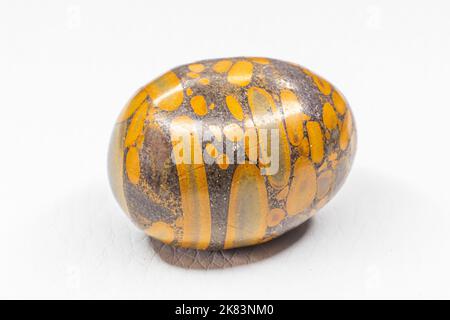 Bamboo leaf jasper tumble isolated on white background Stock Photo - Alamy