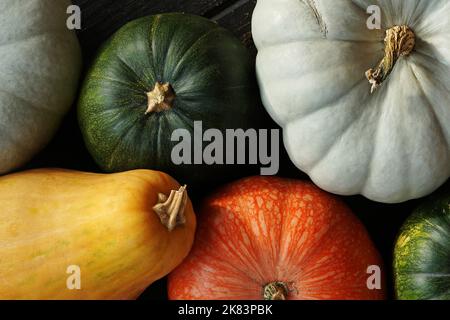 Diverse assortment of pumpkins on a wooden background. Autumn harvest ...