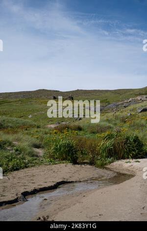 The island of Mingulay, Bishop's Isles, Outer Hebrides, Scotland, UK ...