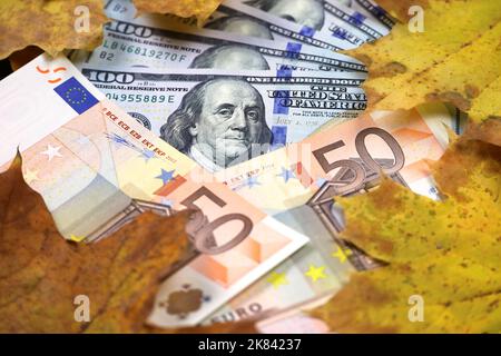 Euro banknotes covered with orange maple leaves. Economy of Europe at ...