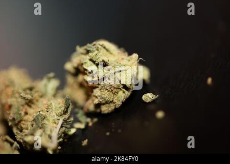 Cannabis medical marihuana super purple haze botanical background big ...