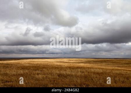 Canada, Saskatchewan, Grasslands National Park. Rolling hills of the ...
