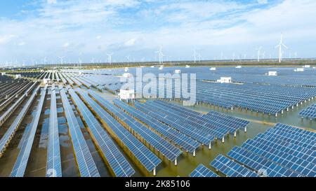 Aerial photo shows the tidal-flat presenting a landscape of a tree in ...