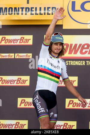 Slovakian Peter Sagan of Tinkoff celebrates after winning the eleventh ...