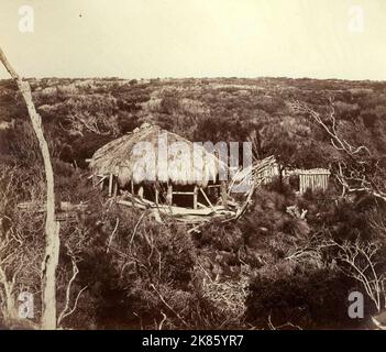 Remains of huts built by the survivors of the General Grant shipwreck ...