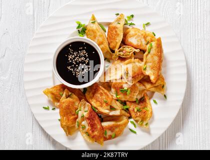 fried gyoza, wonton wrappers stuffed with pork and cabbage sprinkled ...