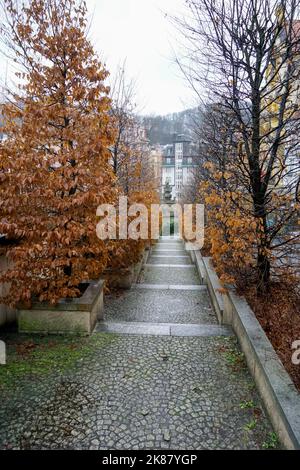 A vertical shot of a park walkway surrounded with trees in autumn with ...