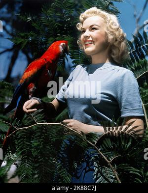 June Haver Actress 01 May 1946 **WARNING** This Photograph is for ...