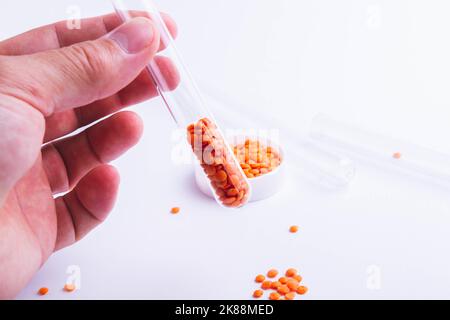 The scientist examines the seeds. Checking plants for diseases. Seed ...