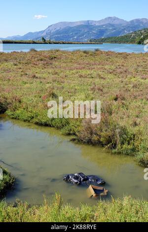 Environmental pollution, water pollution, Butrint, Republic of Albania ...