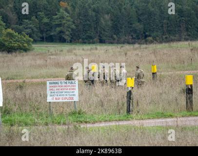 several British army soldiers equipped with telescopic sighted rifles ...
