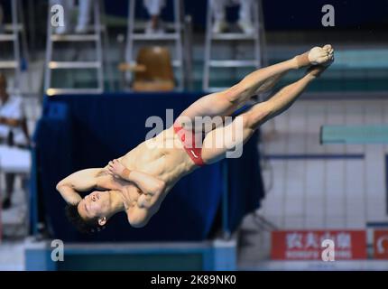 Berlin, Germany. 21st Oct, 2022. Water diving: World Cup, Decisions ...
